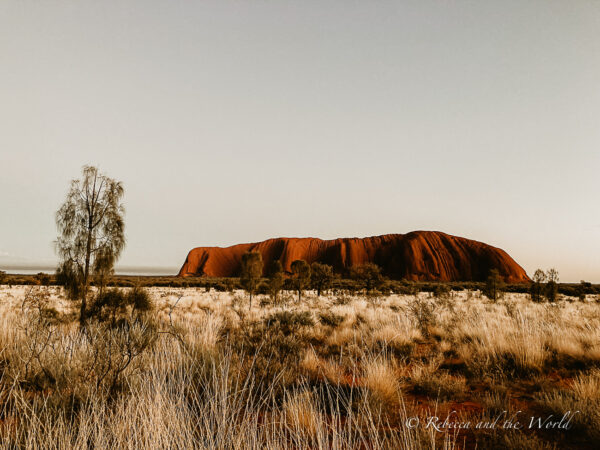 19 Spectacular Things To Do at Uluru - Rebecca and the World