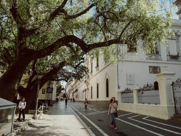 Is Argentina Safe to Visit? An Expert Guide to Staying Safe