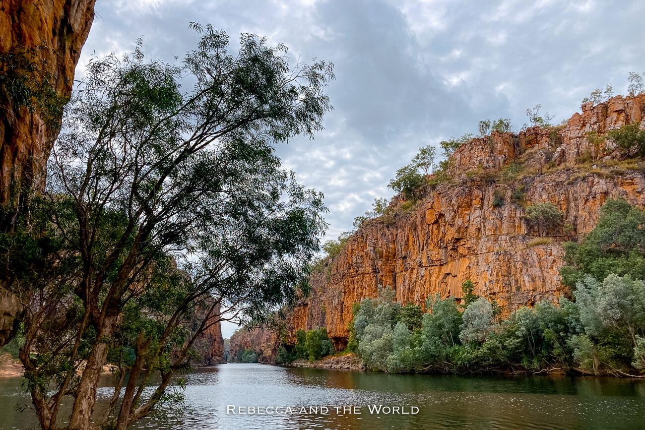 Ultimate Guide to Nitmiluk National Park (Katherine Gorge)