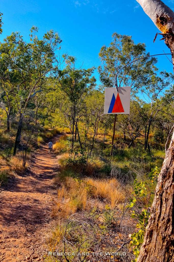 Ultimate Guide to Nitmiluk National Park (Katherine Gorge)