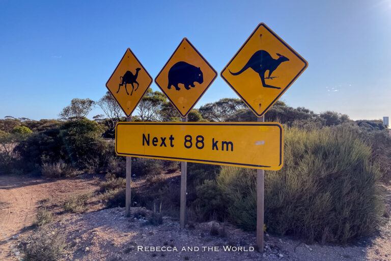 Guide to Crossing the Nullarbor: An Epic Australian Road Trip