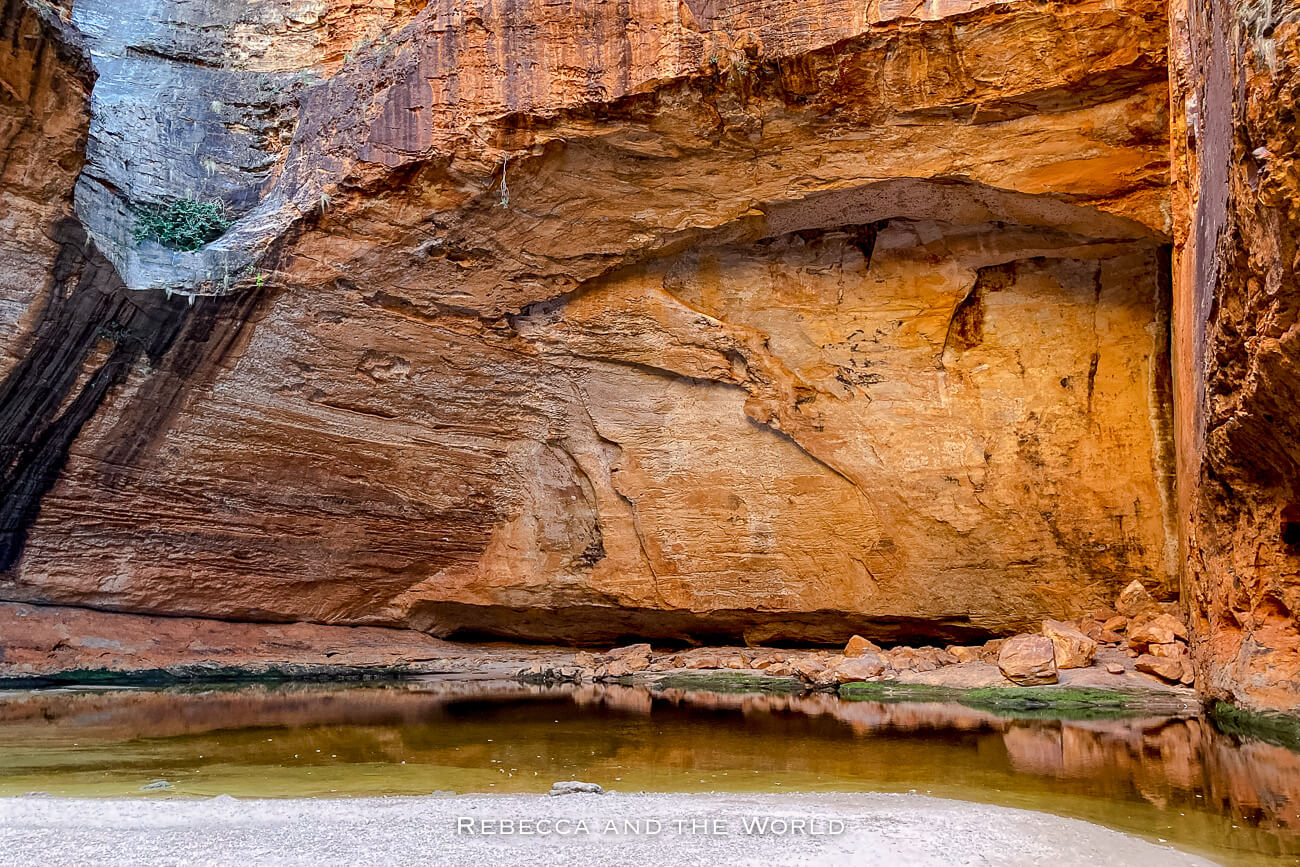 Need to Know: Purnululu National Park Guide (Bungle Bungles)