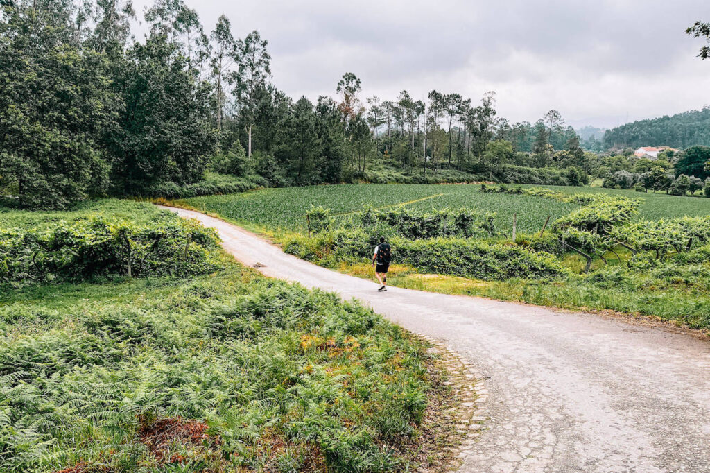 15 Things to Know Before Walking the Portuguese Camino